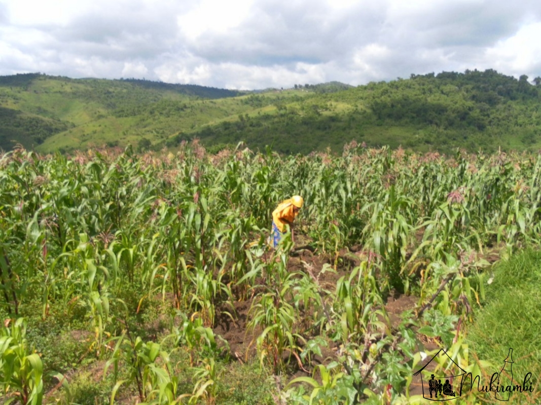 MENYA BYINSHI K’UMUHANA WA GAHUNA/AKARERE KA BIJOMBO – Mukirambi | Umuco Wacu